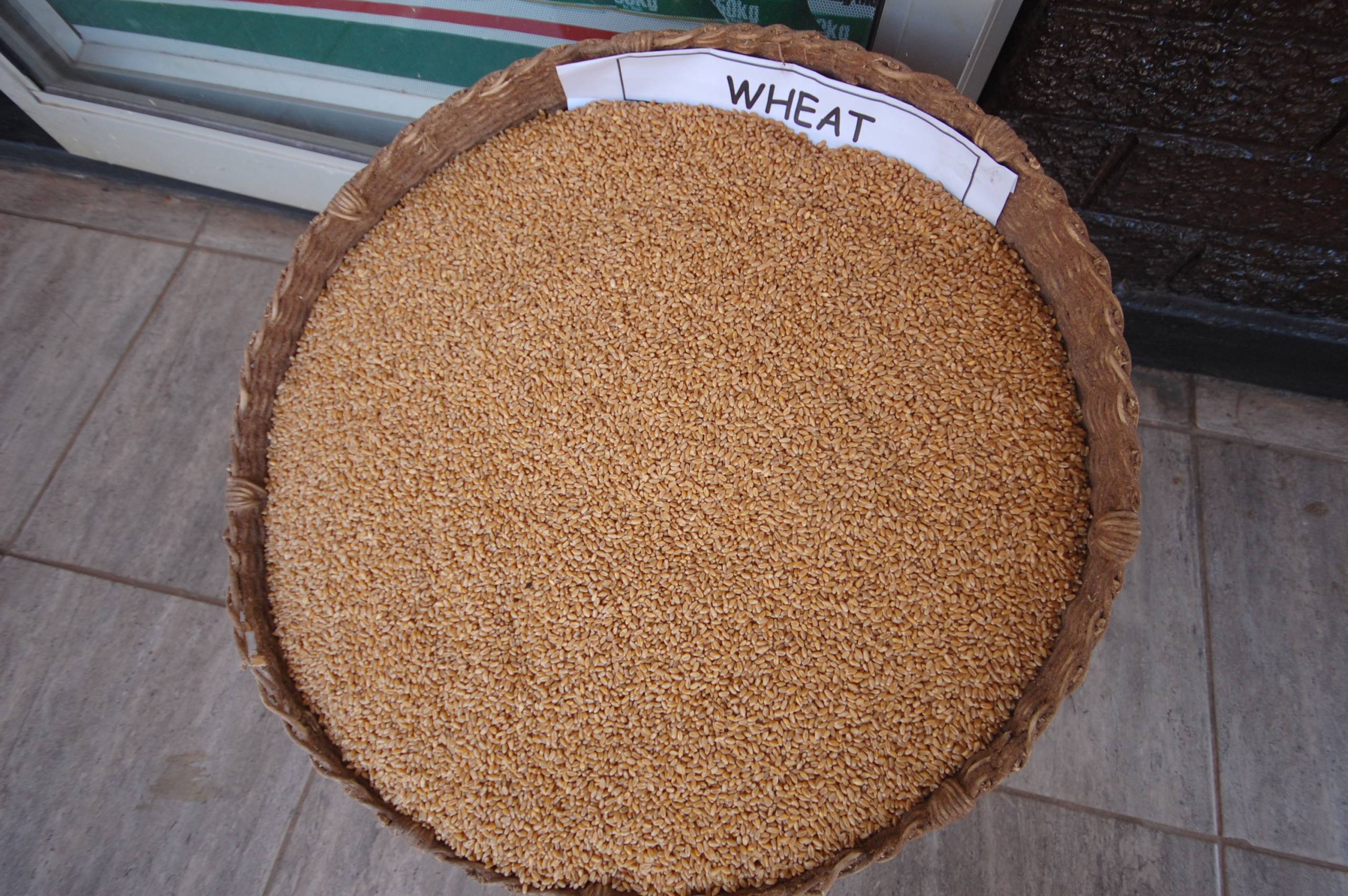 Zim ready to export wheat this year - Grain Marketing Board